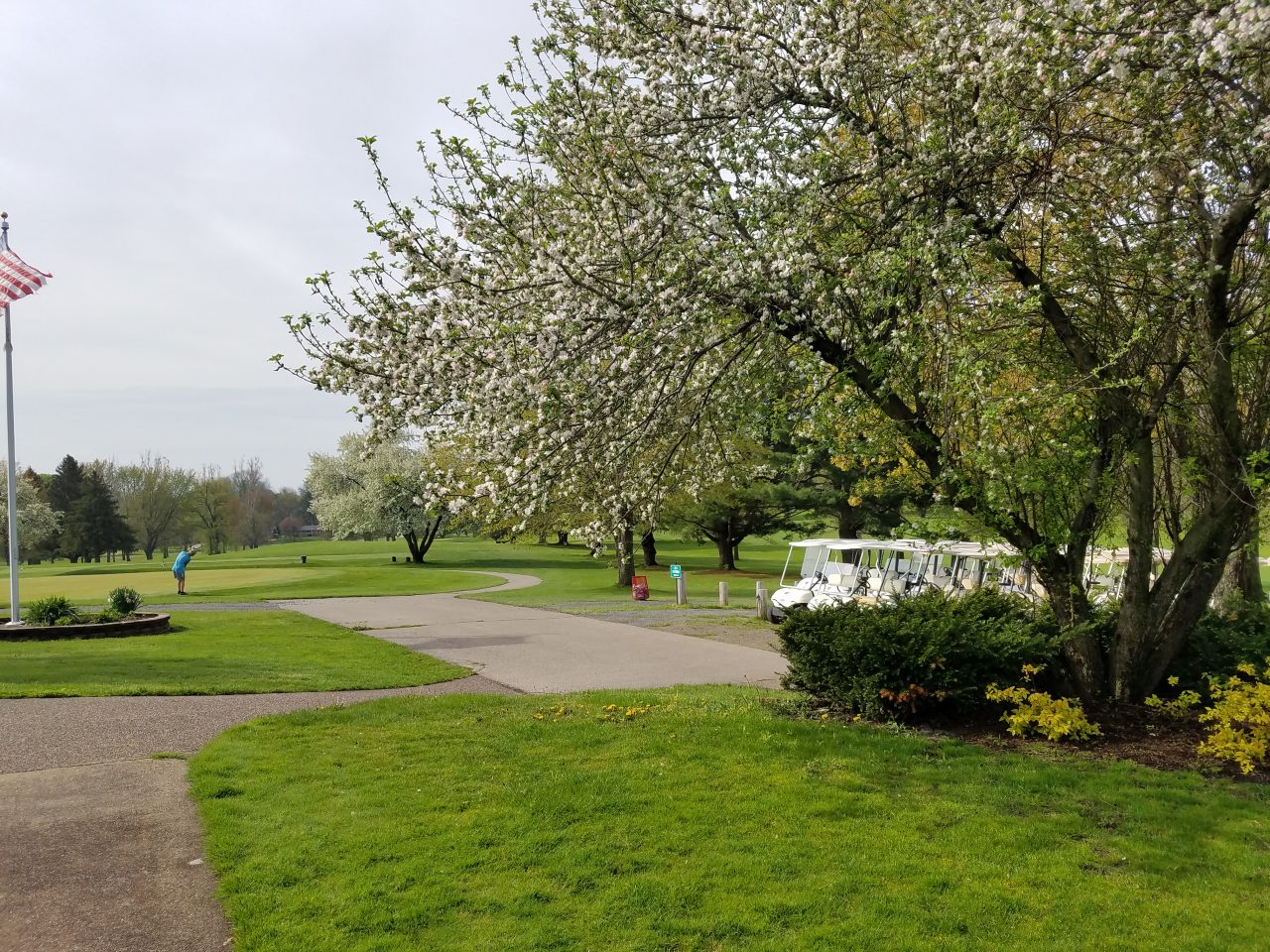 Course - Skyline Golf Course