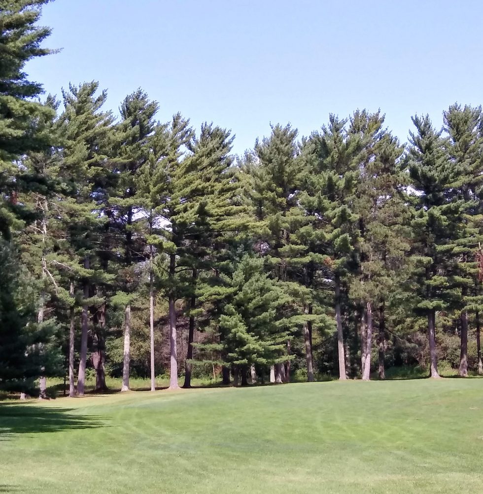Course - Skyline Golf Course
